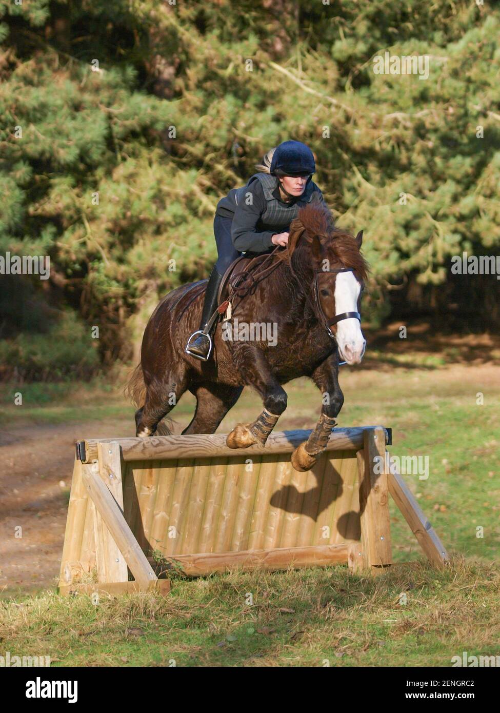 Equestrian jumping cross country hi-res stock photography and images ...