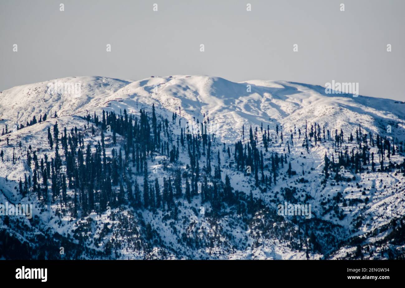 Nathatop and Patnitop cities of Jammu and its park covered with white snow, Winter landscape ...