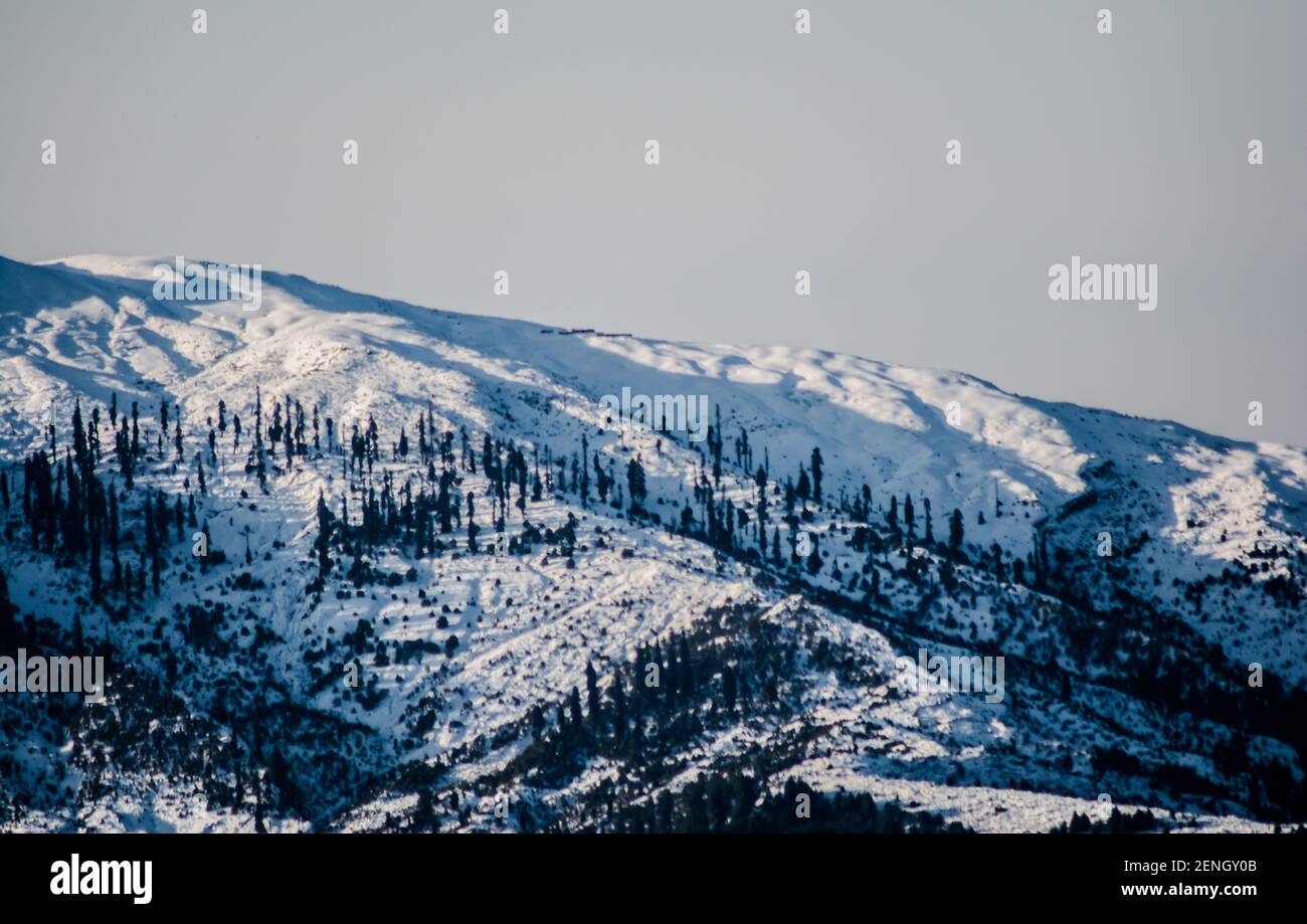Nathatop and Patnitop cities of Jammu and its park covered with white ...