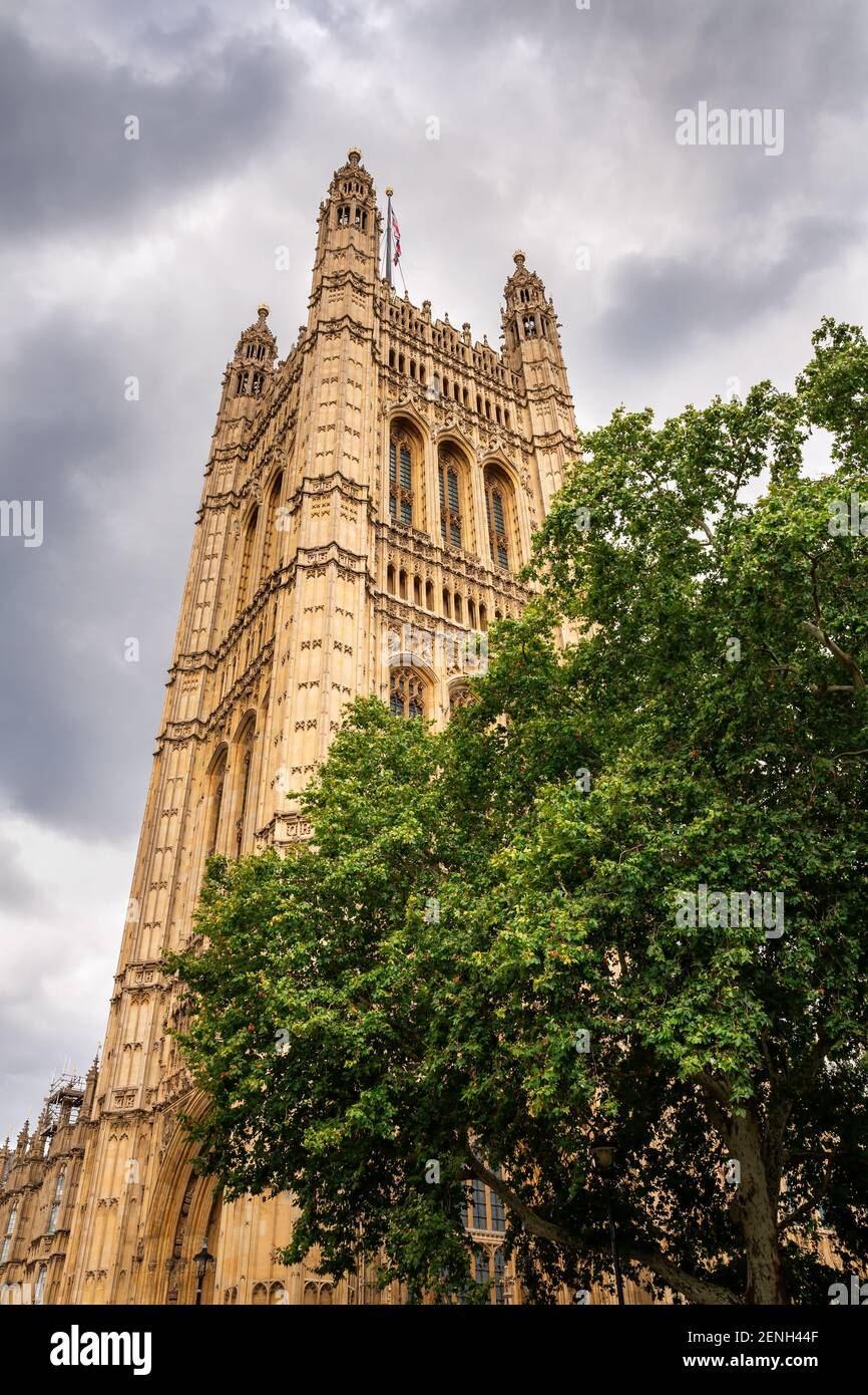 Palace of Westminster (Houses of Parliament) and tree front side in ...