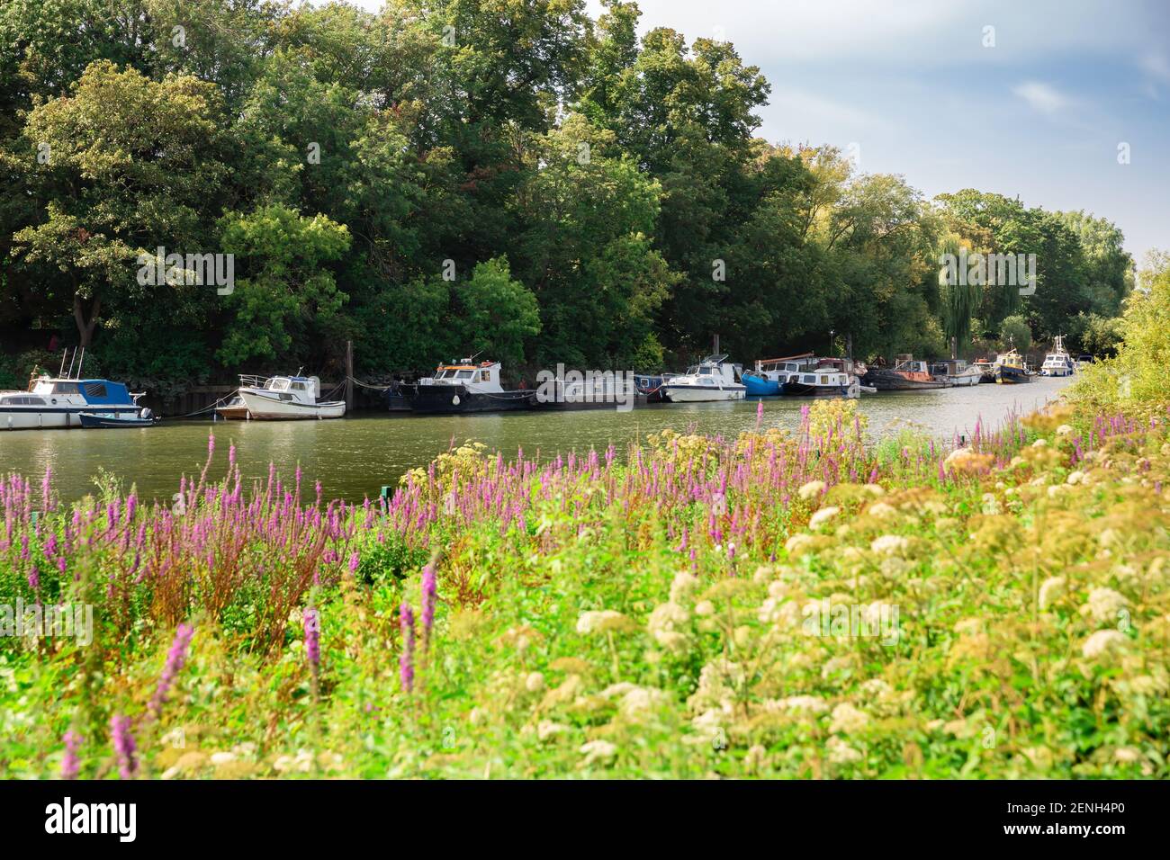 Thames riverfront with many boats in Richmond, London, UK Stock Photo ...