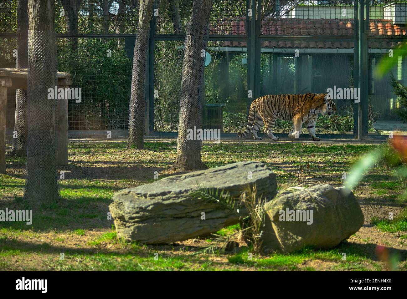Natural habitats hi-res stock photography and images - Alamy