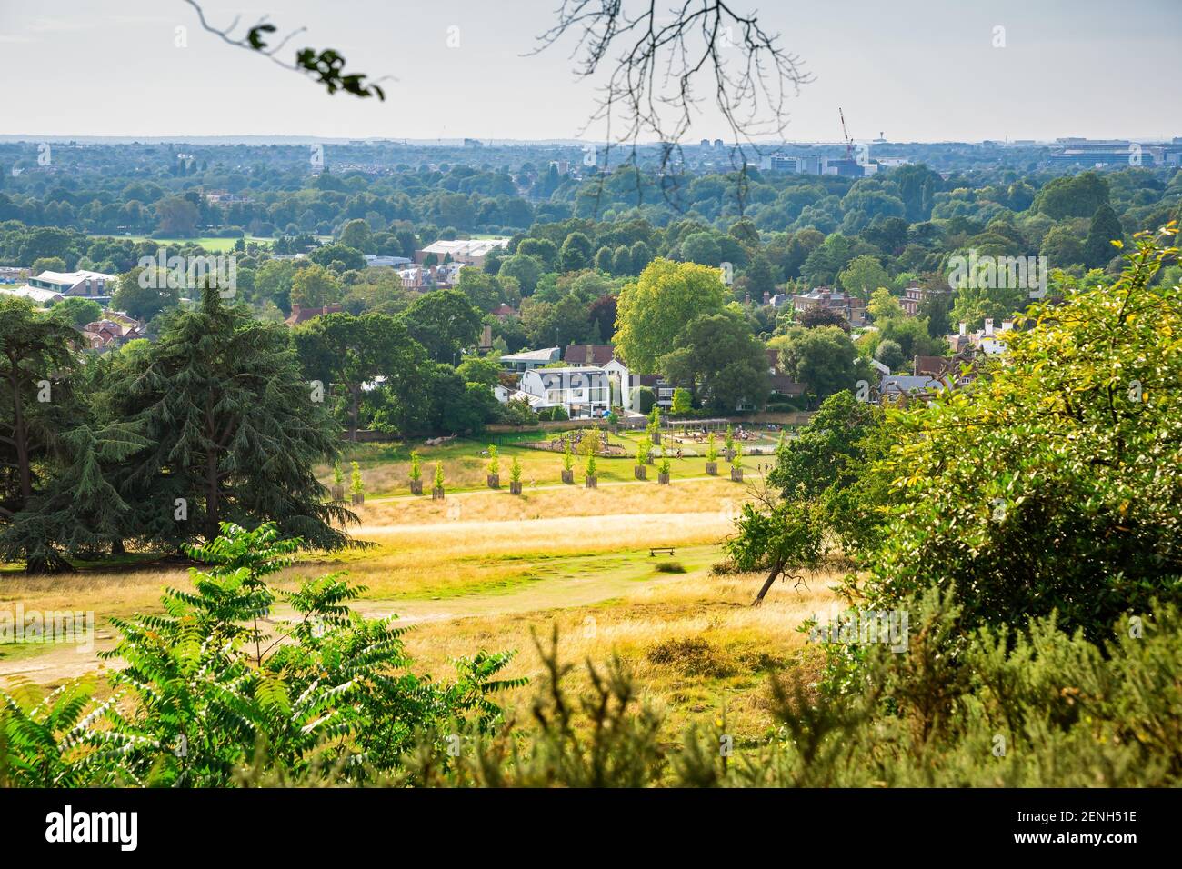 Richmond park summer london hi-res stock photography and images - Alamy