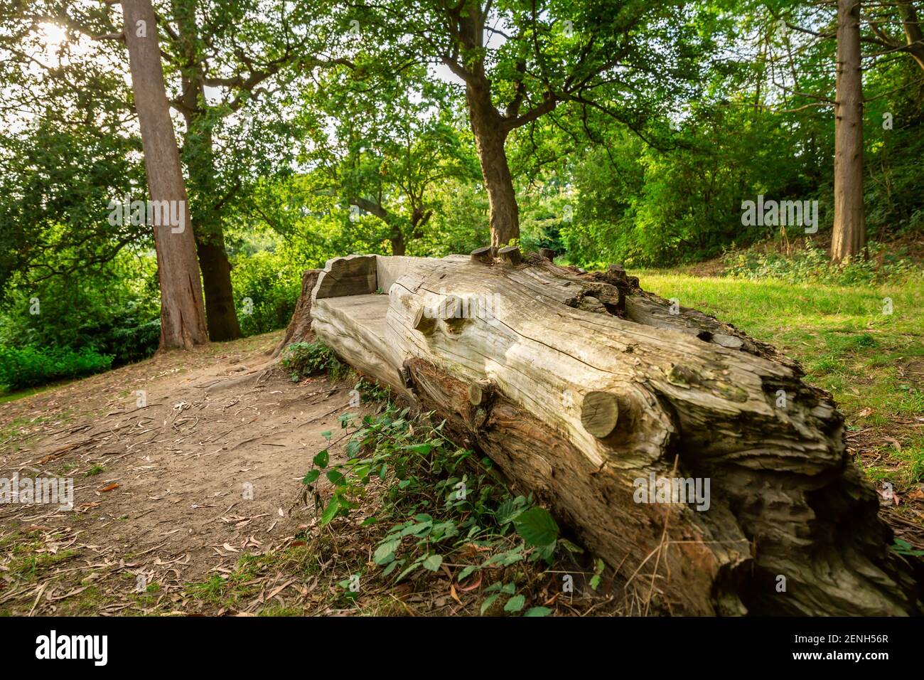 Big log bench in Richmond park, London, UK Stock Photo - Alamy