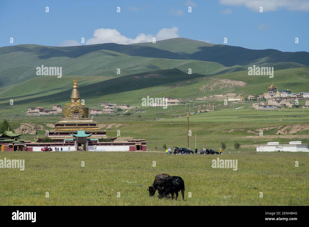 Sichuan ,CHINA-Gemo Temple , also known as Huiyuan temple, is one of ...