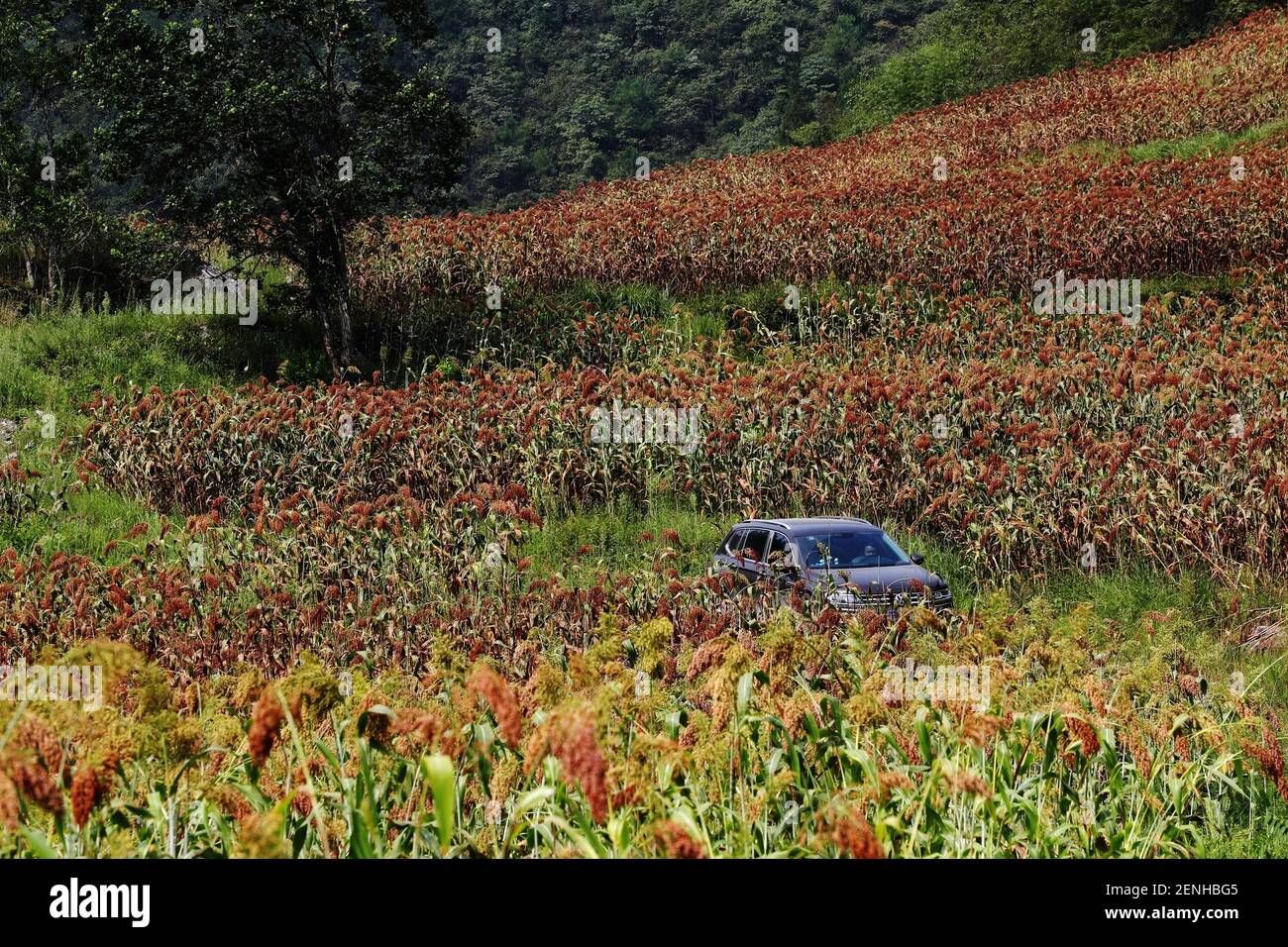 Chongqing,CHINA-Baishahe village, Huangjia town, Pengshui miao tujia ...
