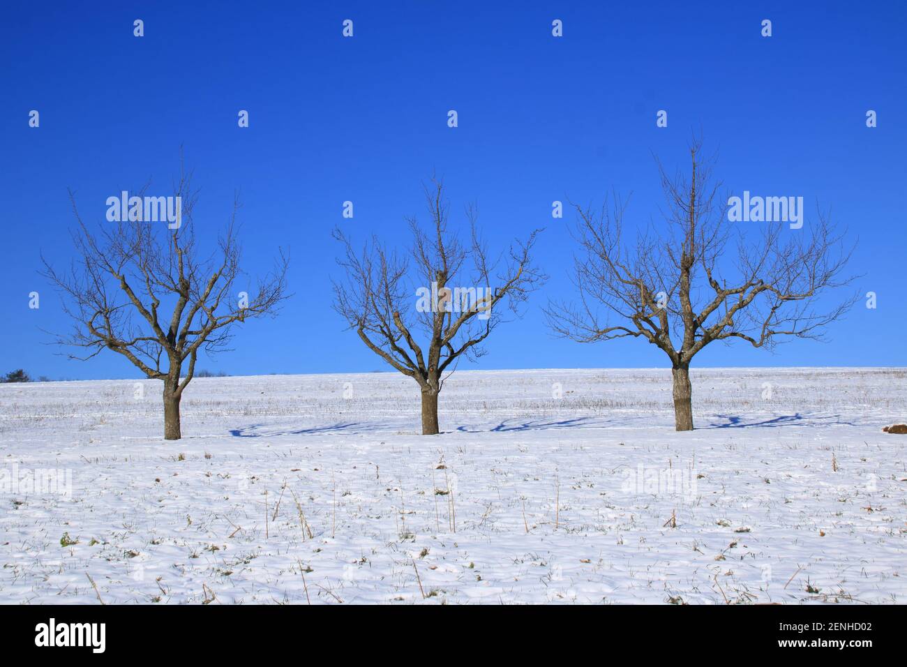 Snowy winter scene row hi-res stock photography and images - Alamy
