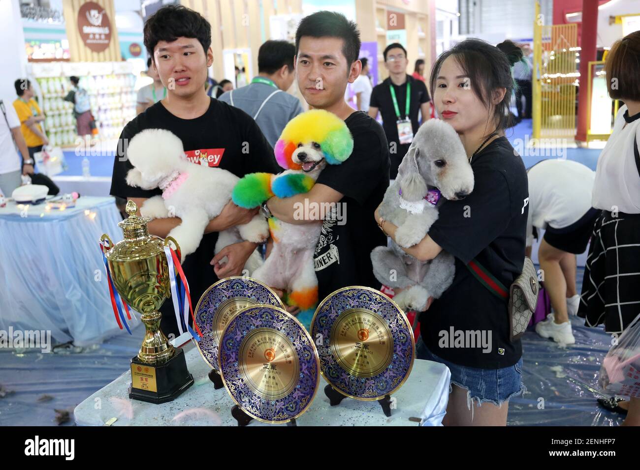 Shanghai,CHINA-A beauty pageant was held for dogs at the 22nd Asian pet ...