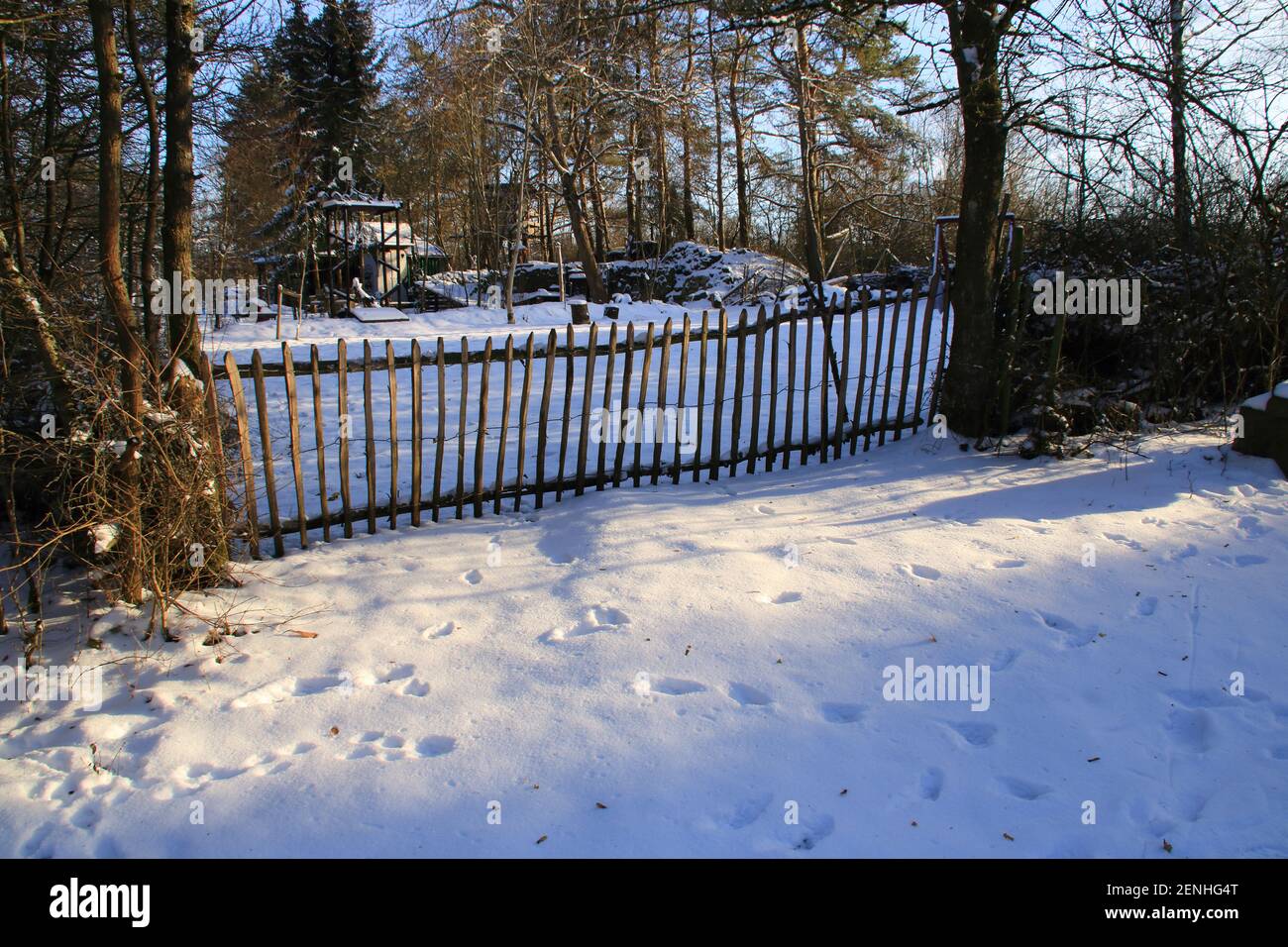 Border fence nature park hi-res stock photography and images - Alamy