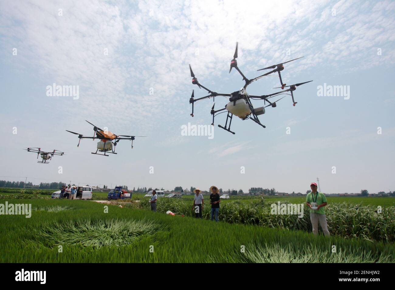 Drones are remote-controlled to crop-dust a rice field in Linze Town ...