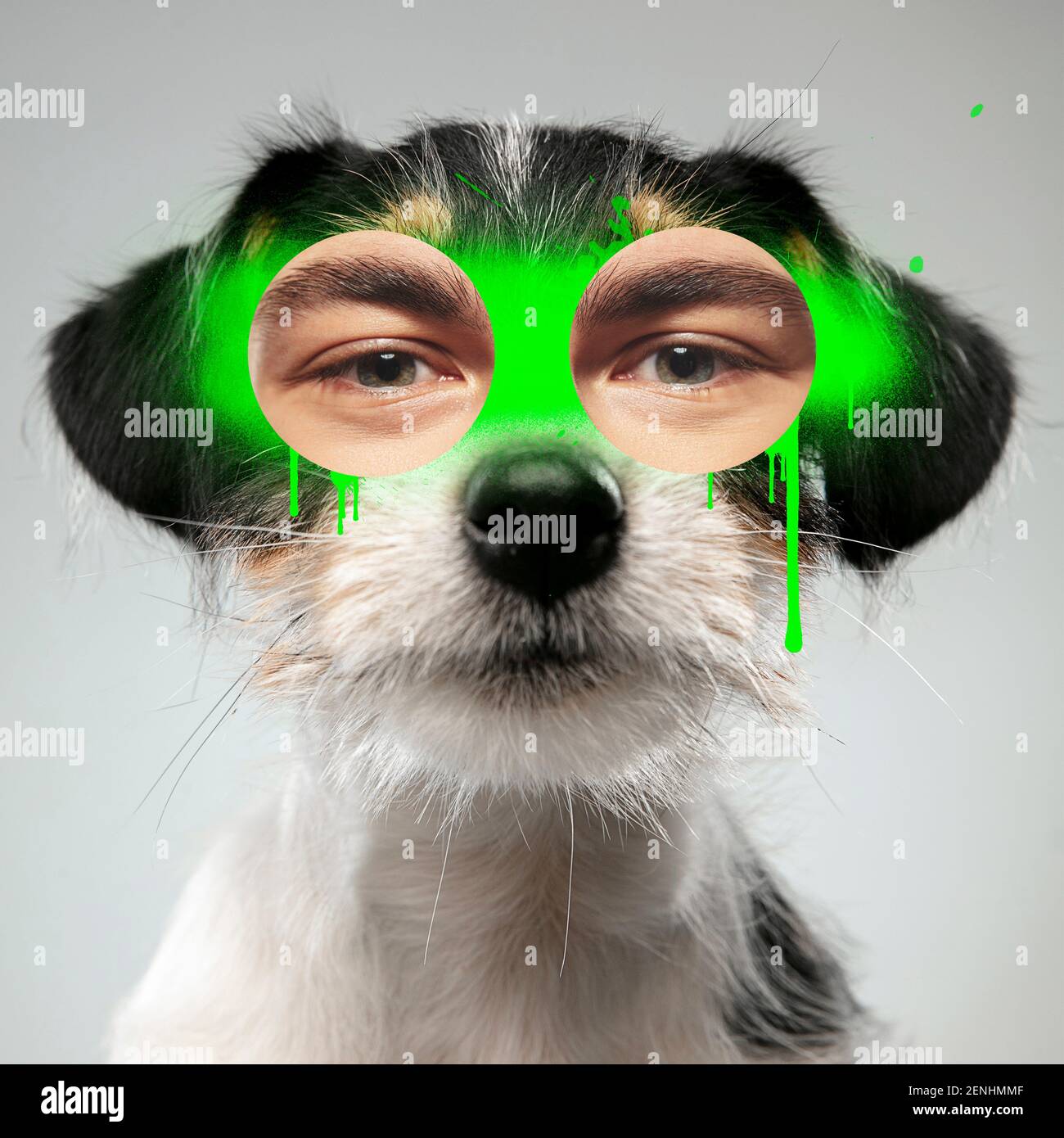 Contemporary artwork collage concept. Portrait of dog with human eyes ...
