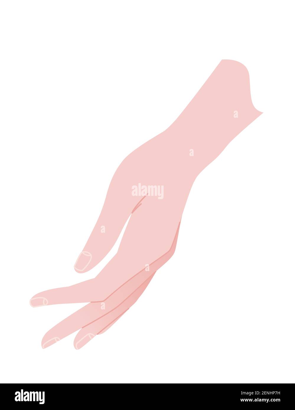Gestures of human hand hold template flat vector illustration isolated ...