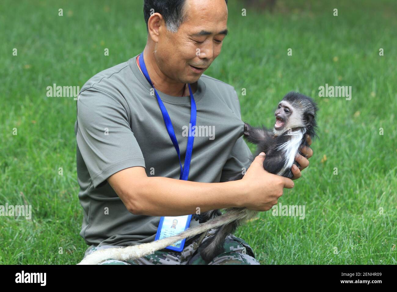 A monkey grips the T-shirt of a staff in the Zhengzhou City Zoo in ...