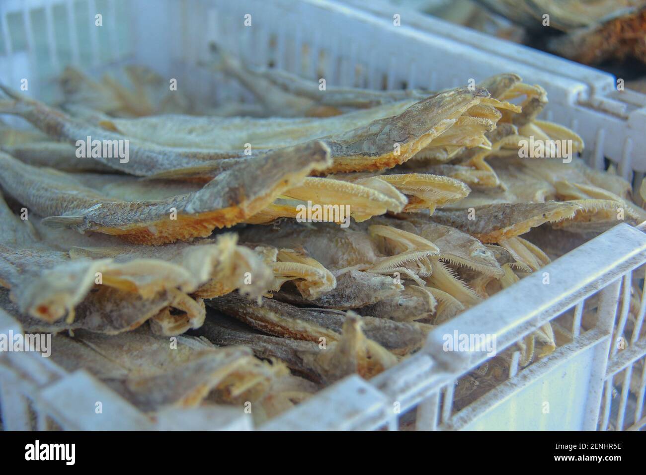 Dried fish for sell at the Kuala Bubon, Aceh Barat in Meulboh. This is ...