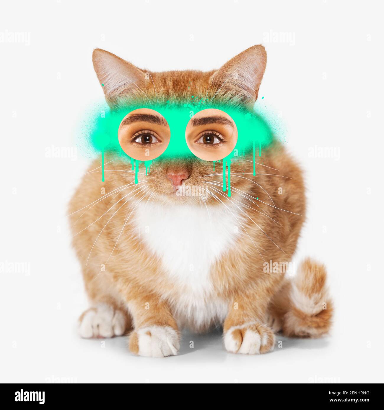 Contemporary art design cat Cut Out Stock Images & Pictures - Alamy