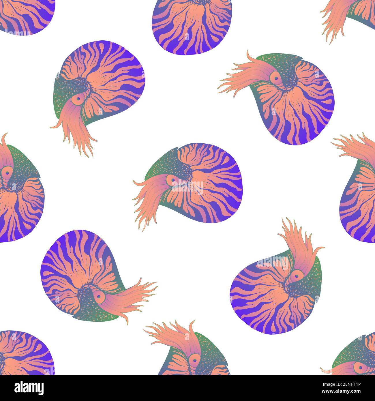 Seamless pattern with colorful nautilus animals, isolated on white ...