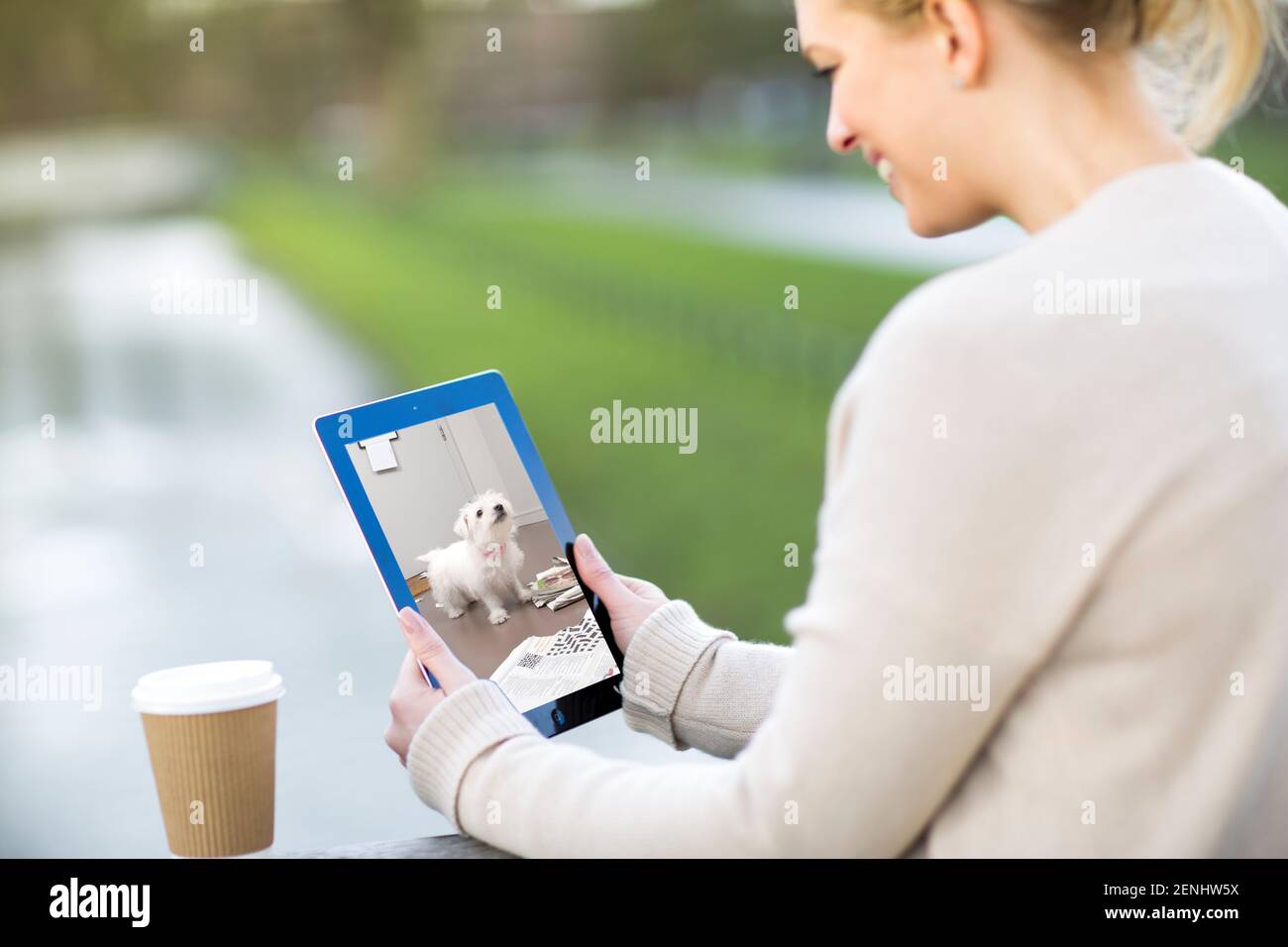 Pet camera screens and owners watching pets on mobile devices ...