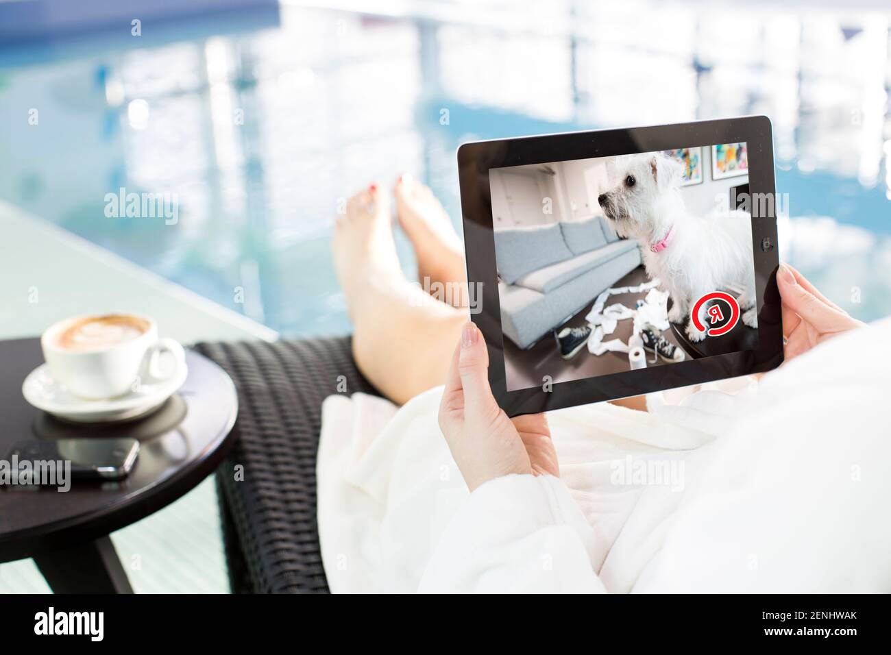 Pet camera screens and owners watching pets on mobile devices ...