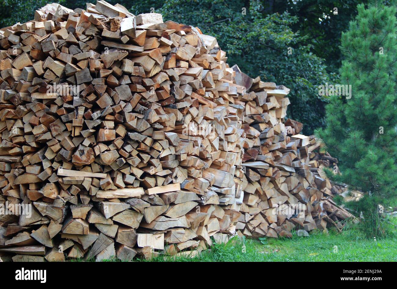 Stacking logs for drying hi-res stock photography and images - Alamy