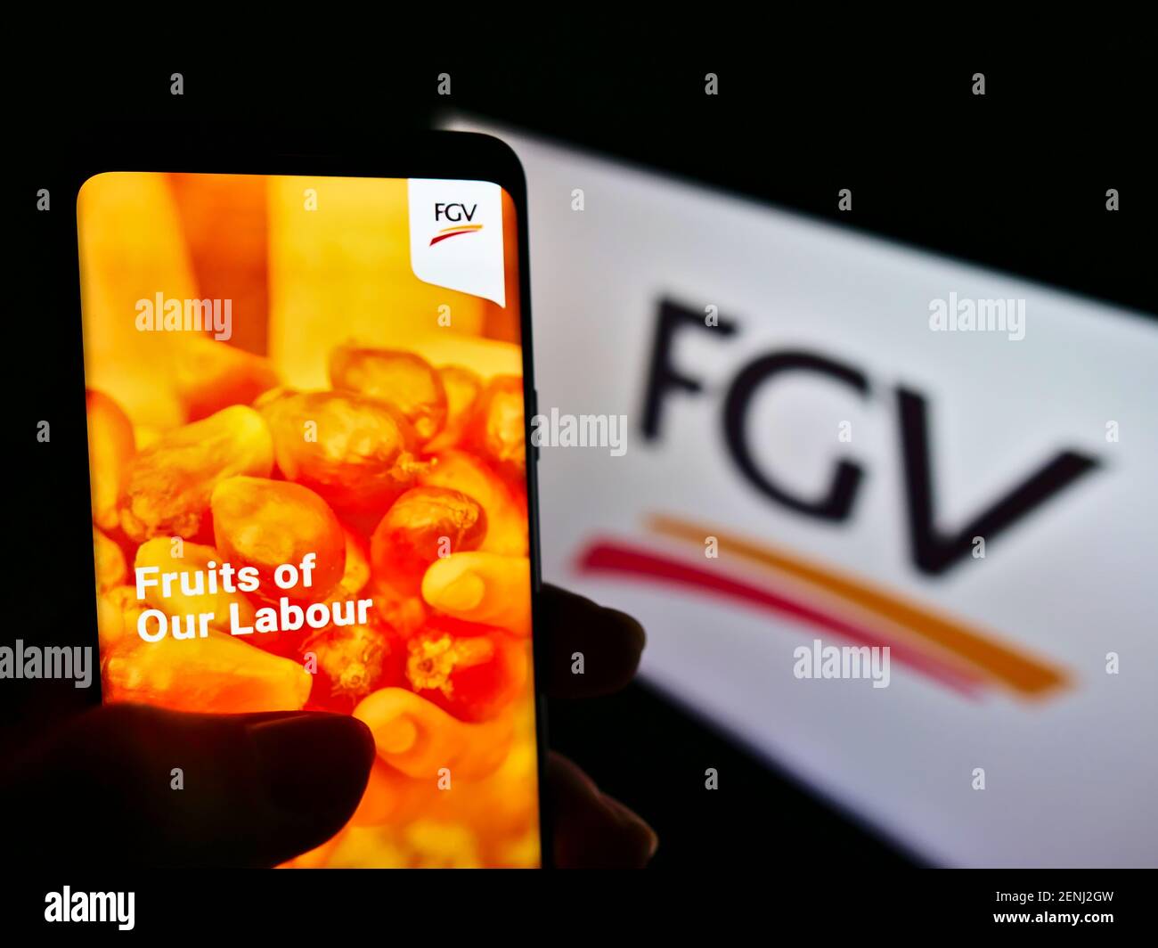 Fgv logo hi-res stock photography and images - Alamy