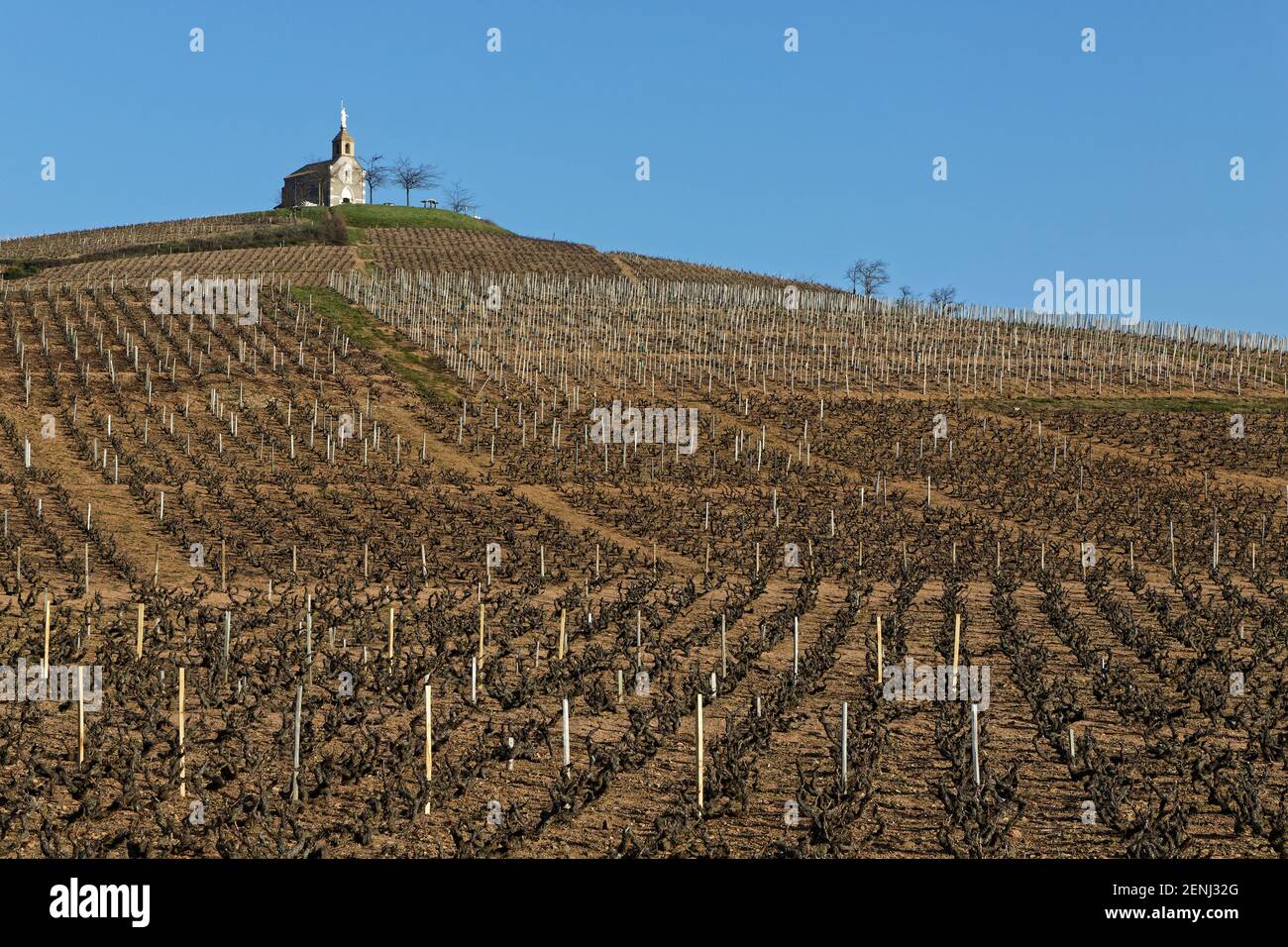 Fleurie france wine hi-res stock photography and images - Alamy