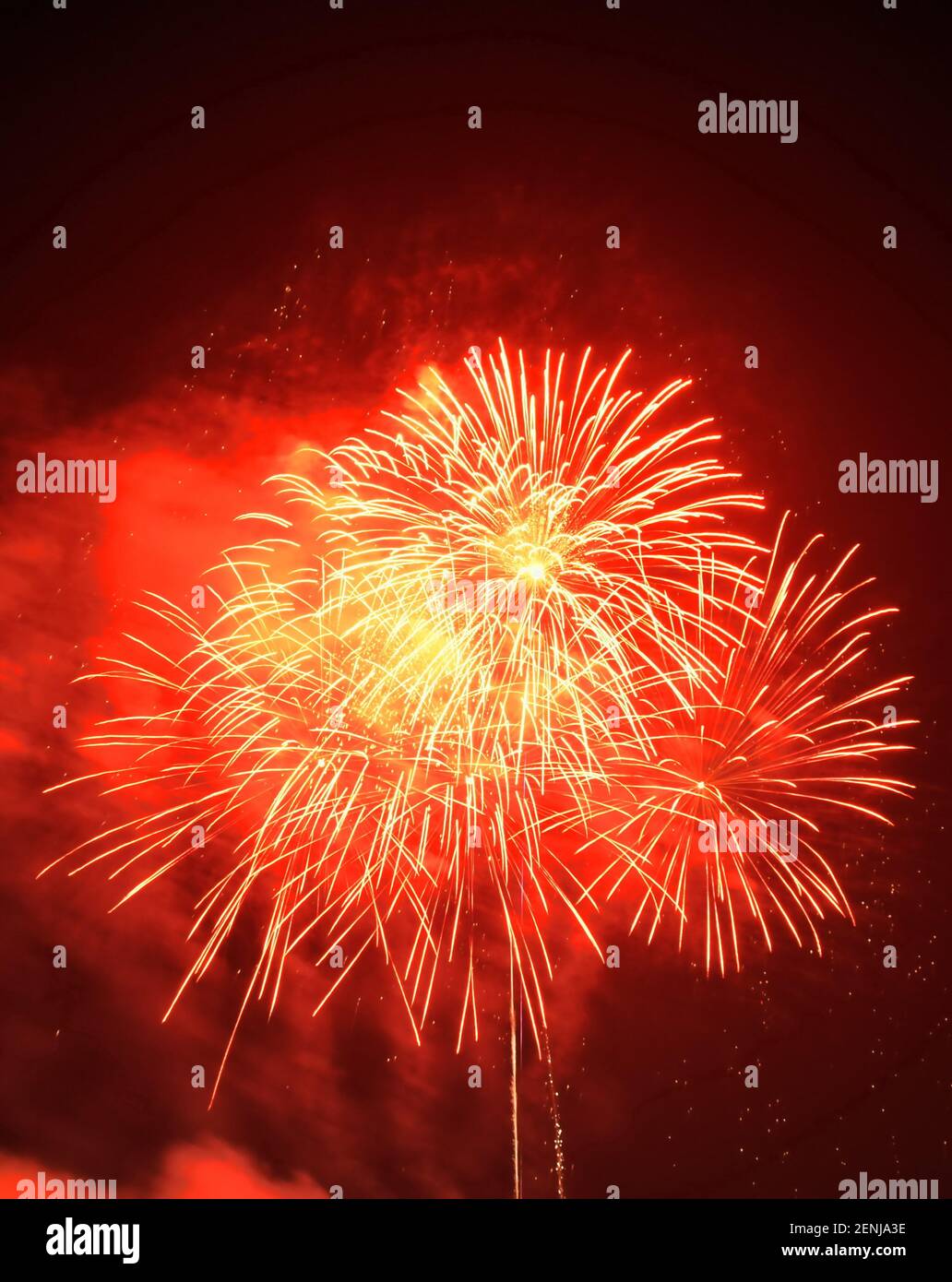 fireworks explosive on dark sky in night Stock Photo - Alamy