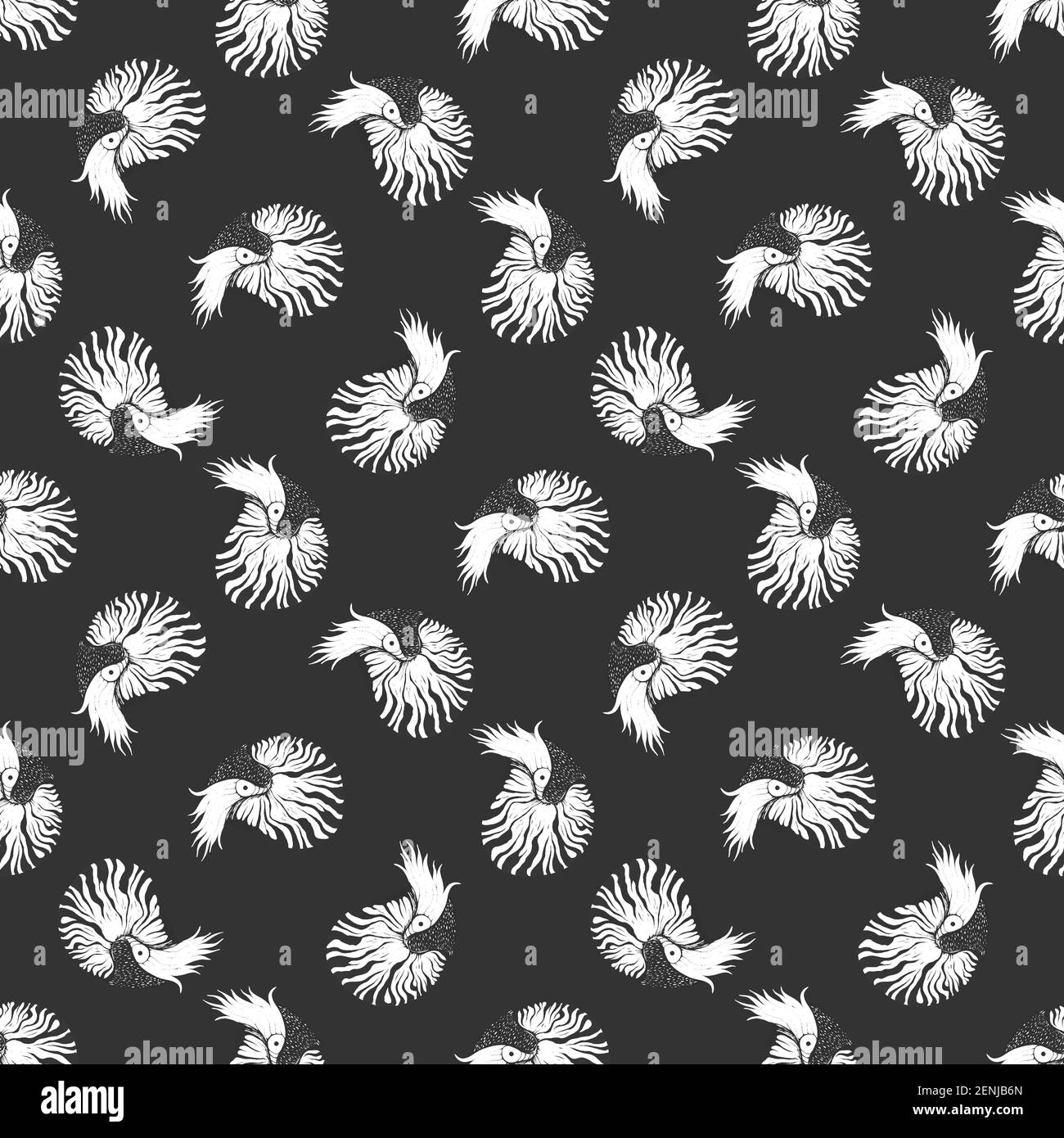 Seamless pattern with Nautilus white gray color, isolated on graphite ...