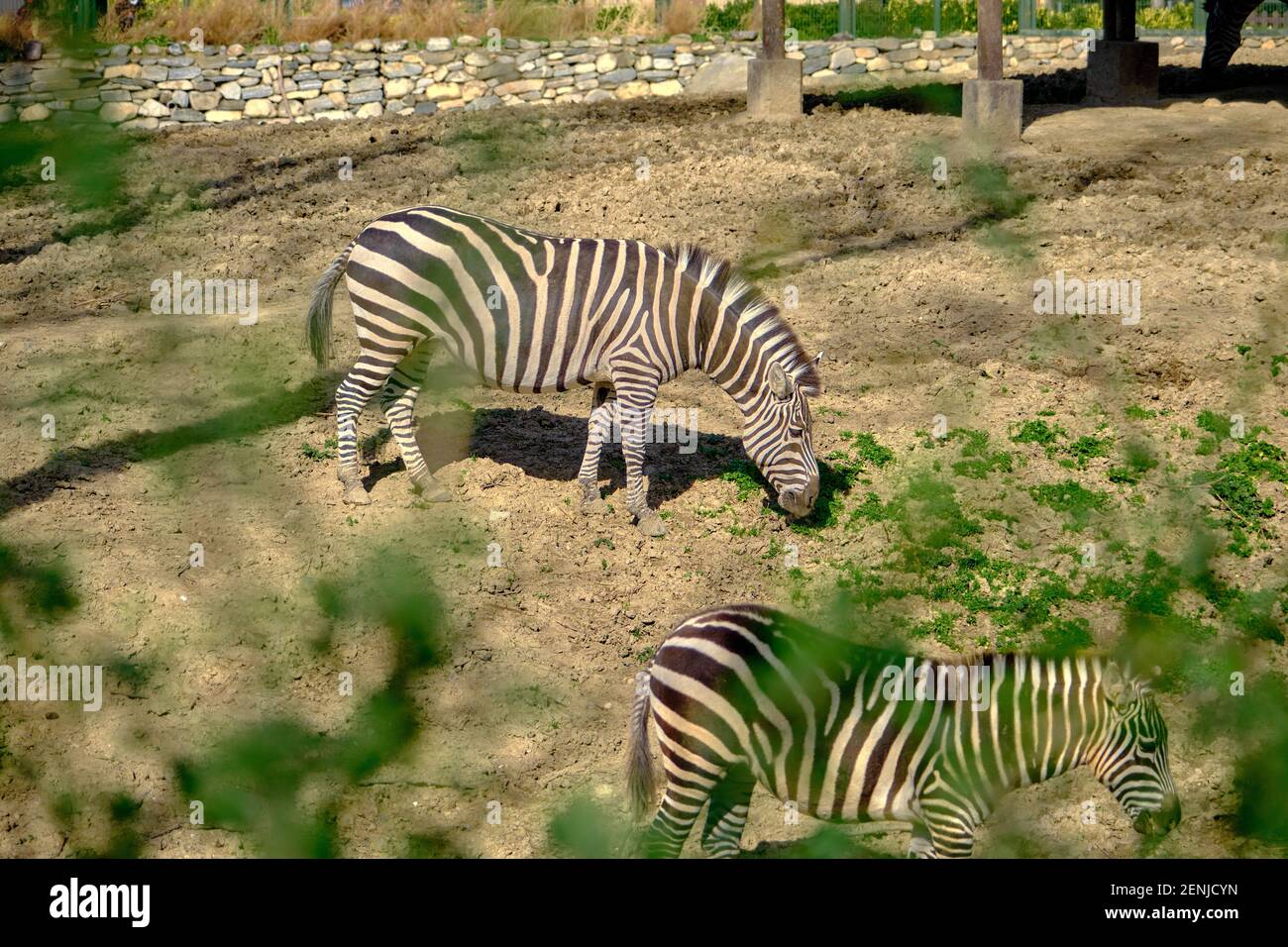 Natural habitats hi-res stock photography and images - Alamy