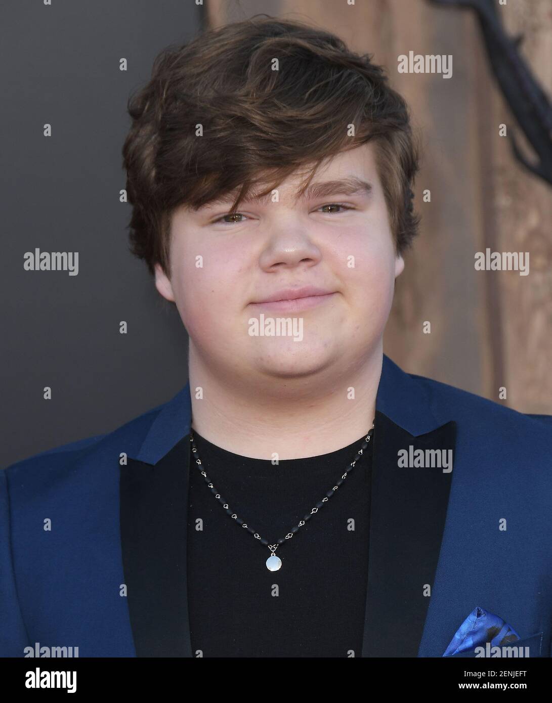 Jeremy Ray Taylor arrives at the Warner Bros. Pictures' IT CHAPTER TWO ...