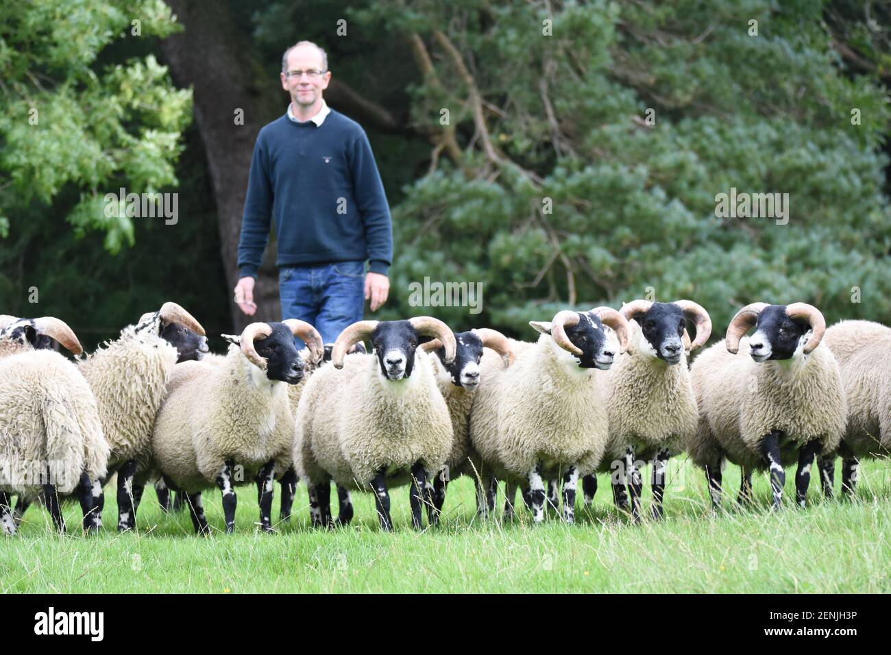 Scottish farmer hi-res stock photography and images - Alamy