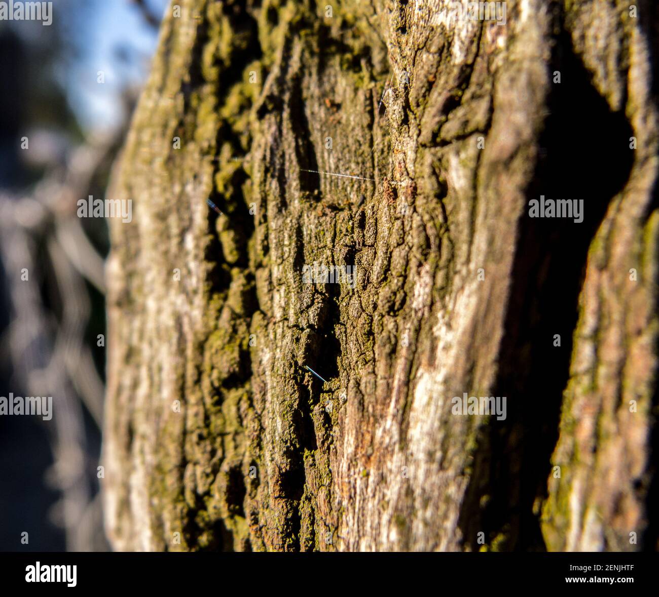 Textures and abstract, details and backgrounds Stock Photo - Alamy