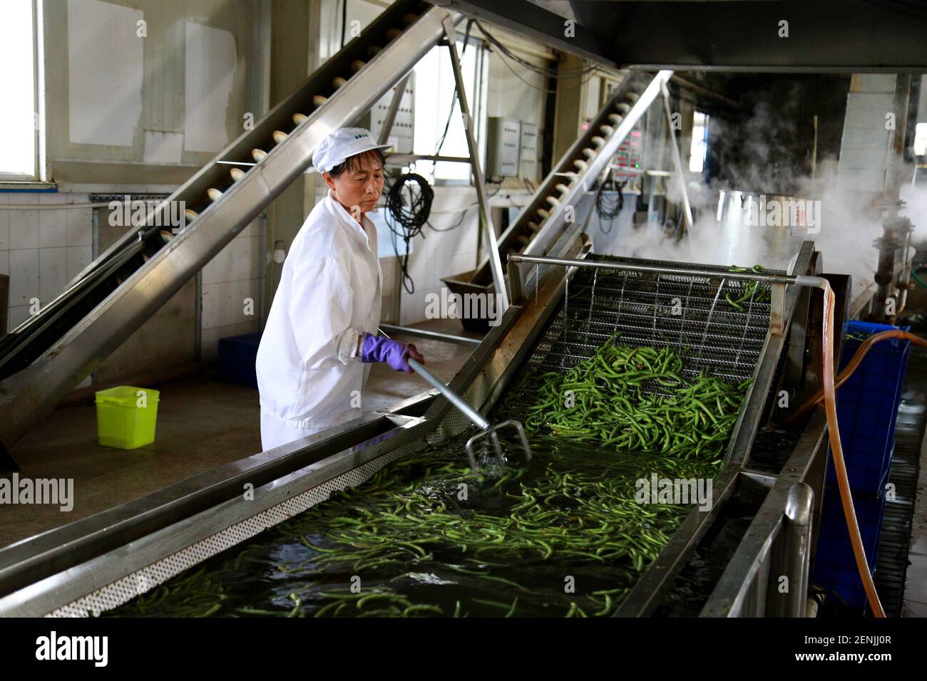 A worker is stirring dehydrated vegetables in a dehydrated vegetable ...