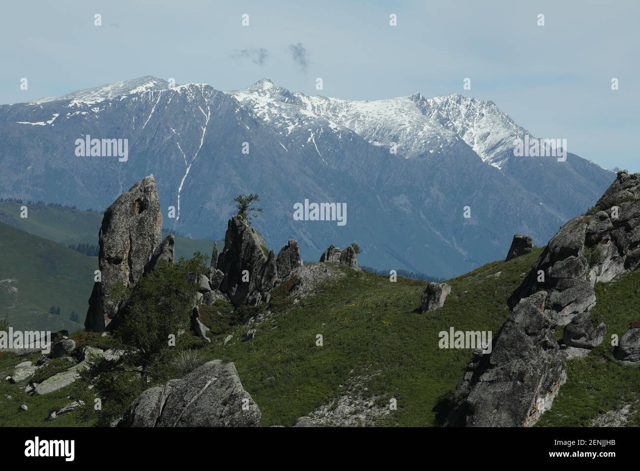 Landscape of the granite "forest" on the pastureland in Burqin county ...