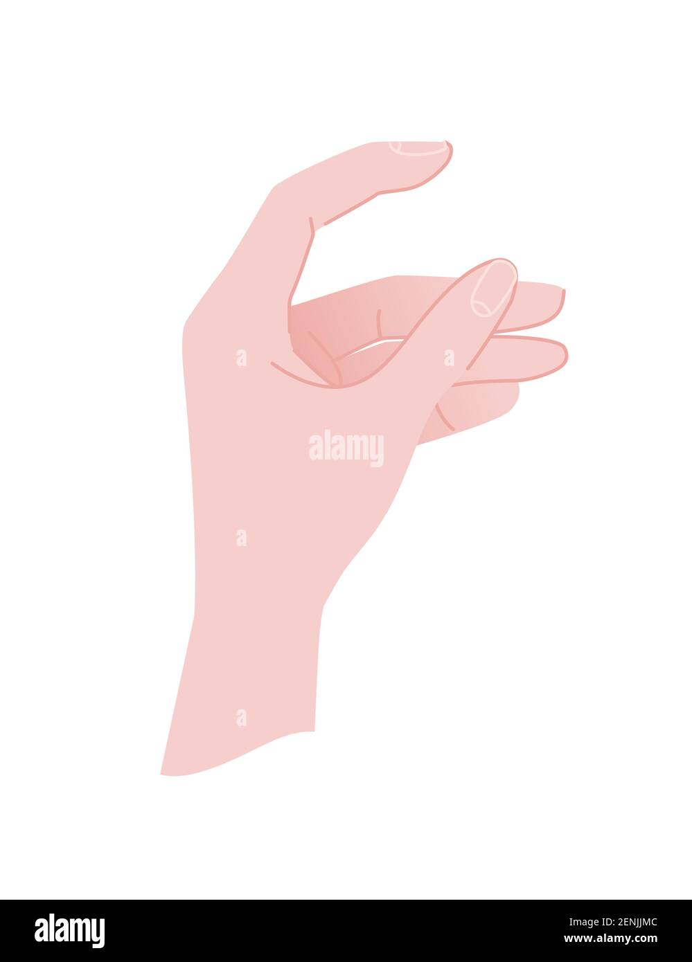 Gestures of human hand hold template flat vector illustration isolated ...