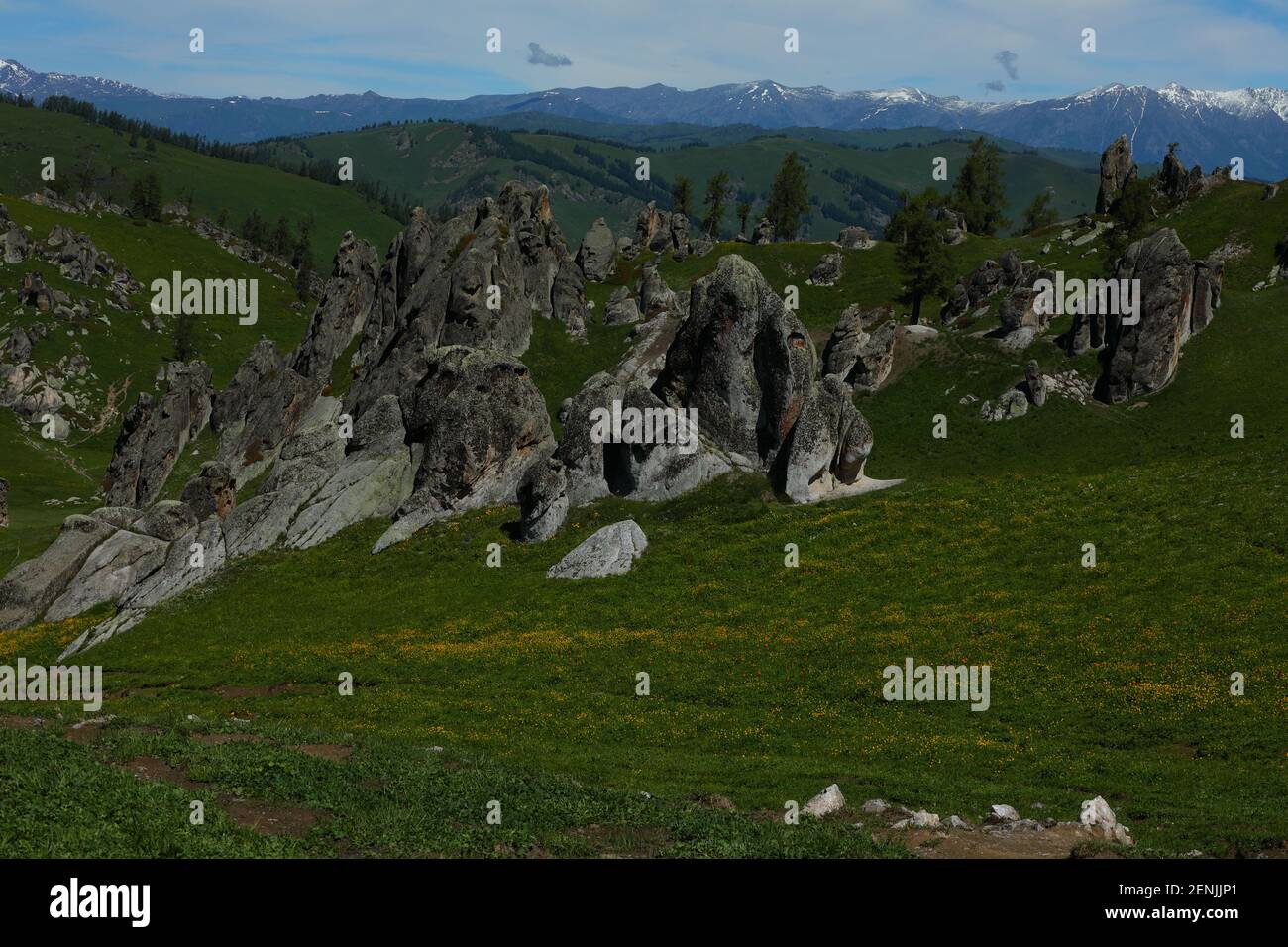 Landscape of the granite "forest" on the pastureland in Burqin county ...