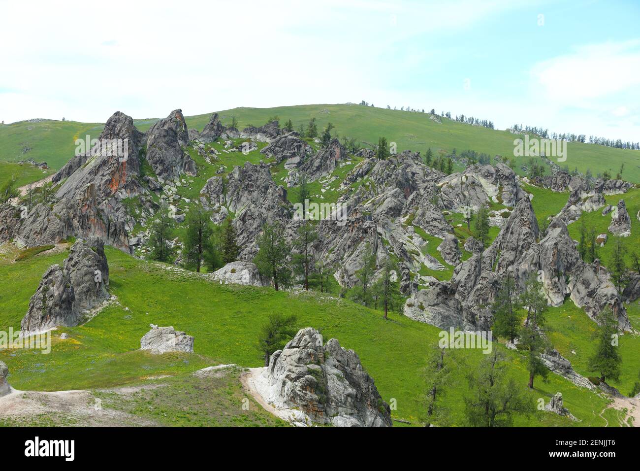 Landscape of the granite "forest" on the pastureland in Burqin county ...