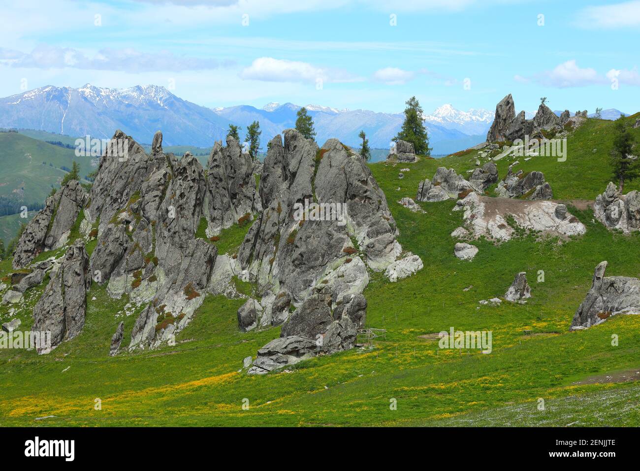 Landscape of the granite "forest" on the pastureland in Burqin county ...