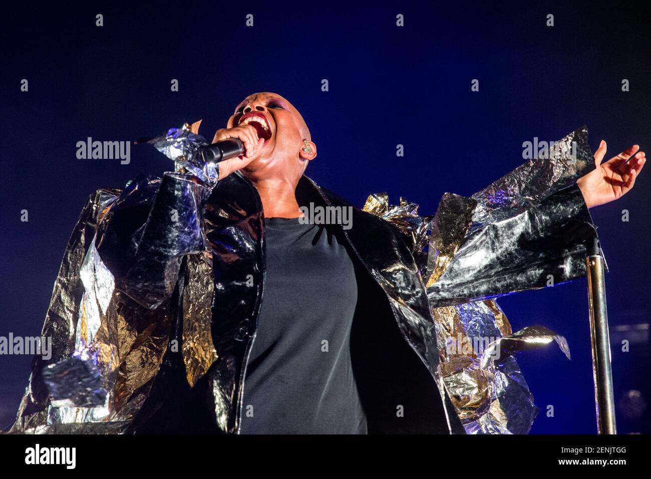Deborah Anne Dyer, known by the stage name Skin of Skunk Anansie Rock ...