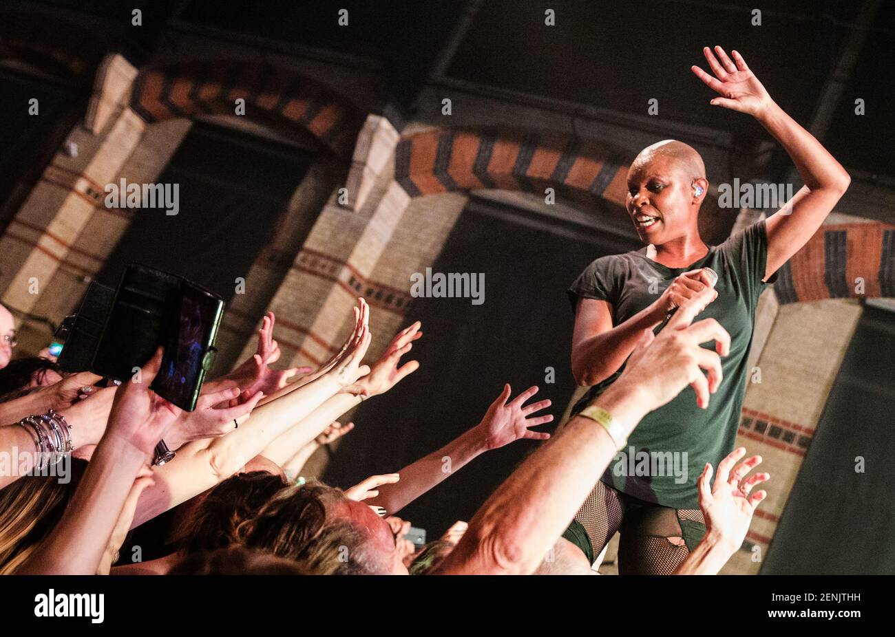 Deborah Anne Dyer, known by the stage name Skin of Skunk Anansie Rock ...