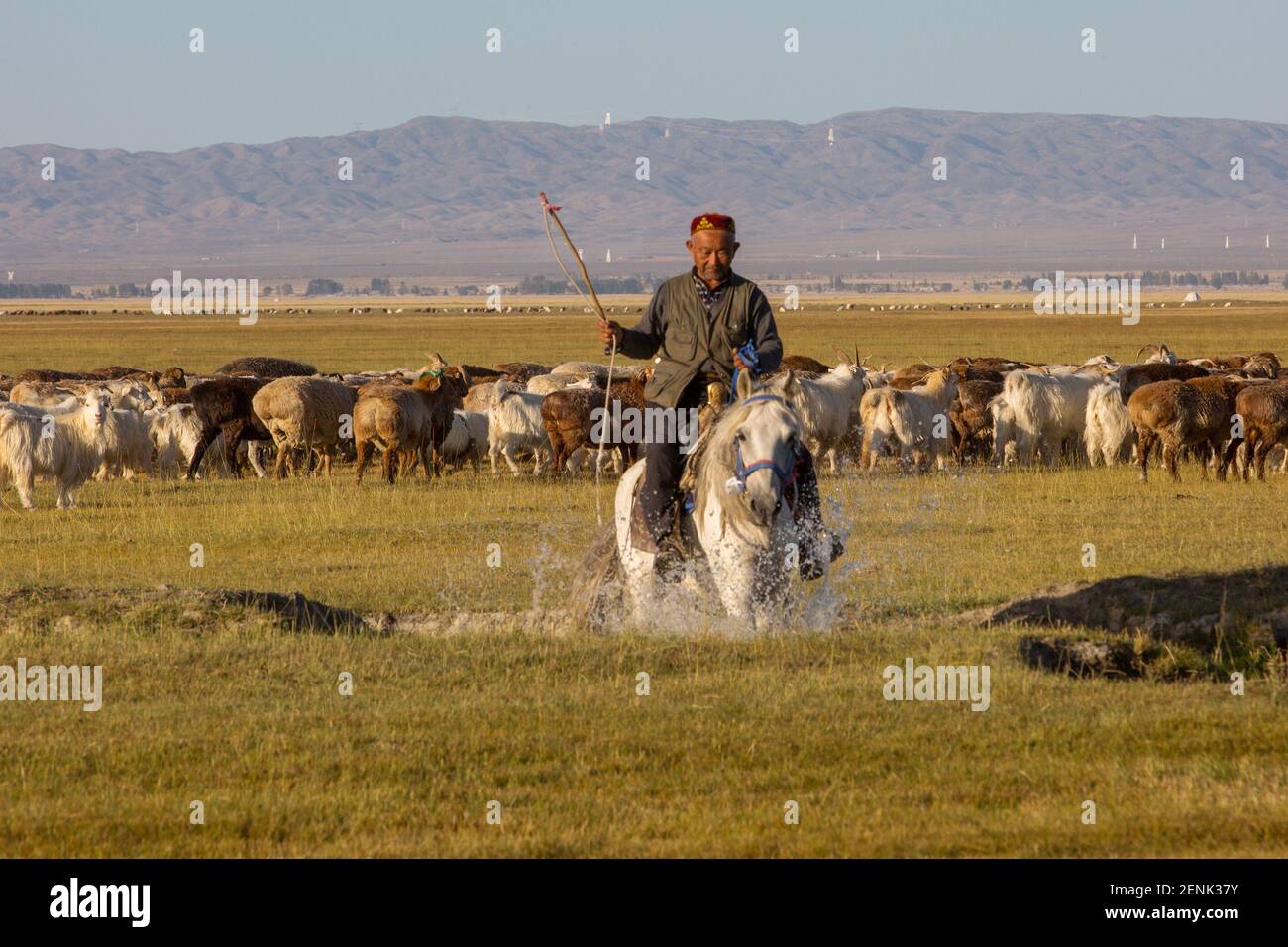 Xinjiang ,CHINA-In autumn, the grasslands in Balikun kazak autonomous ...