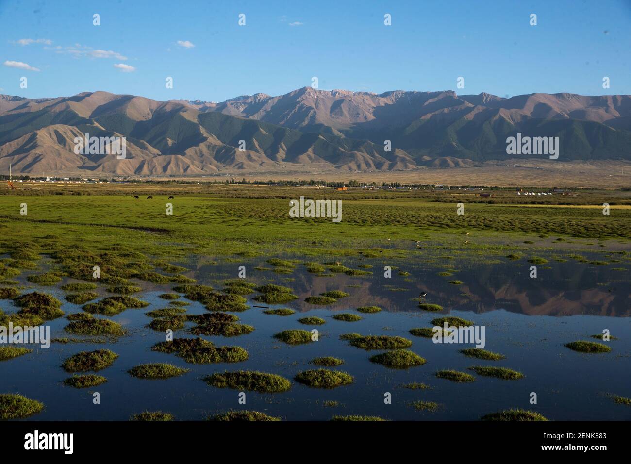 Xinjiang ,CHINA-In autumn, the grasslands in Balikun kazak autonomous ...