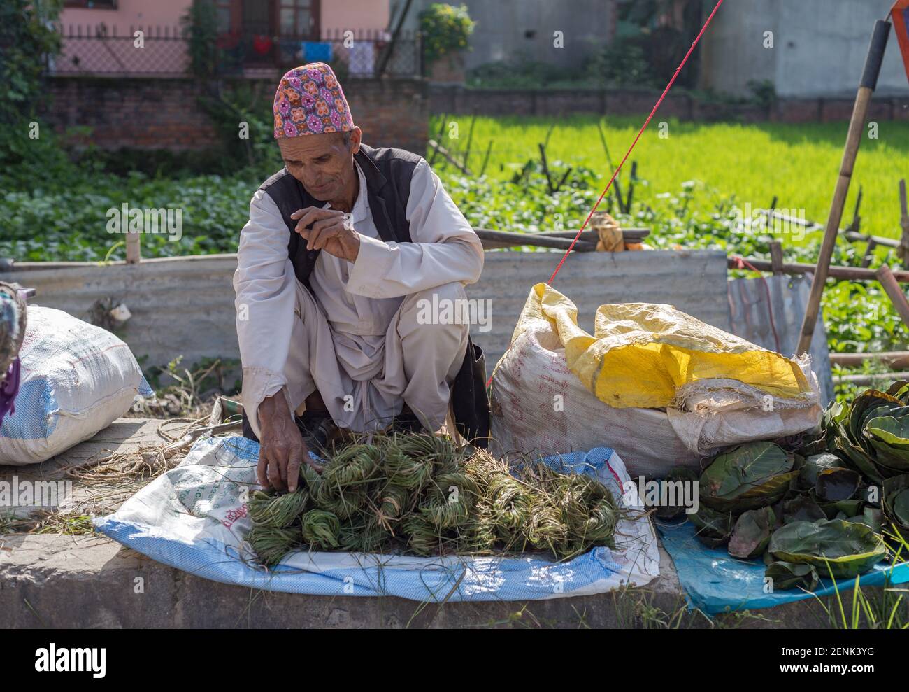 A man sells Kush during the rituals. Nepalese perform rituals to honor ...