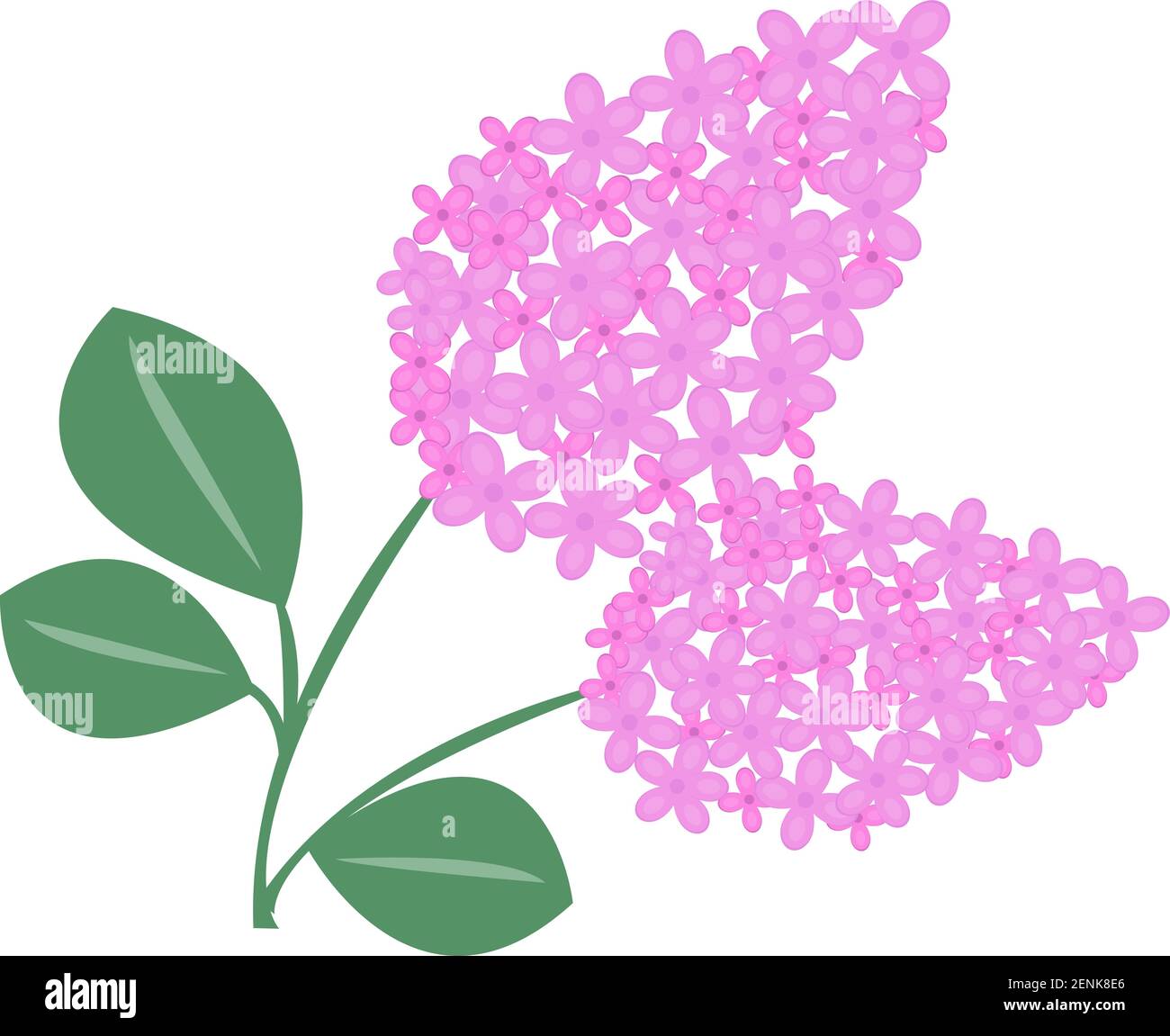 Lilac branch flower icon. Vector illustration Stock Vector Image & Art ...