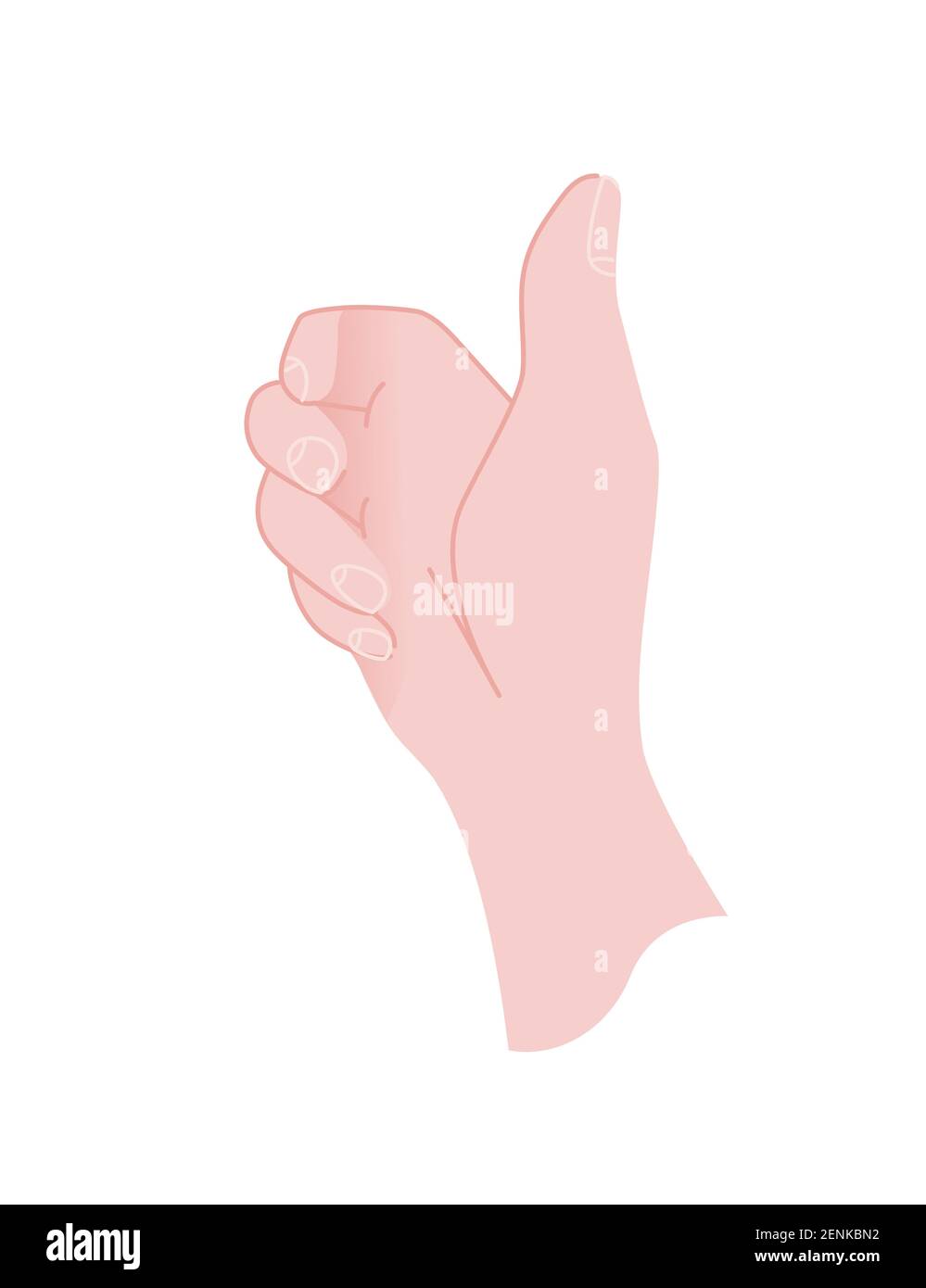 Gestures of human hand hold template flat vector illustration isolated ...