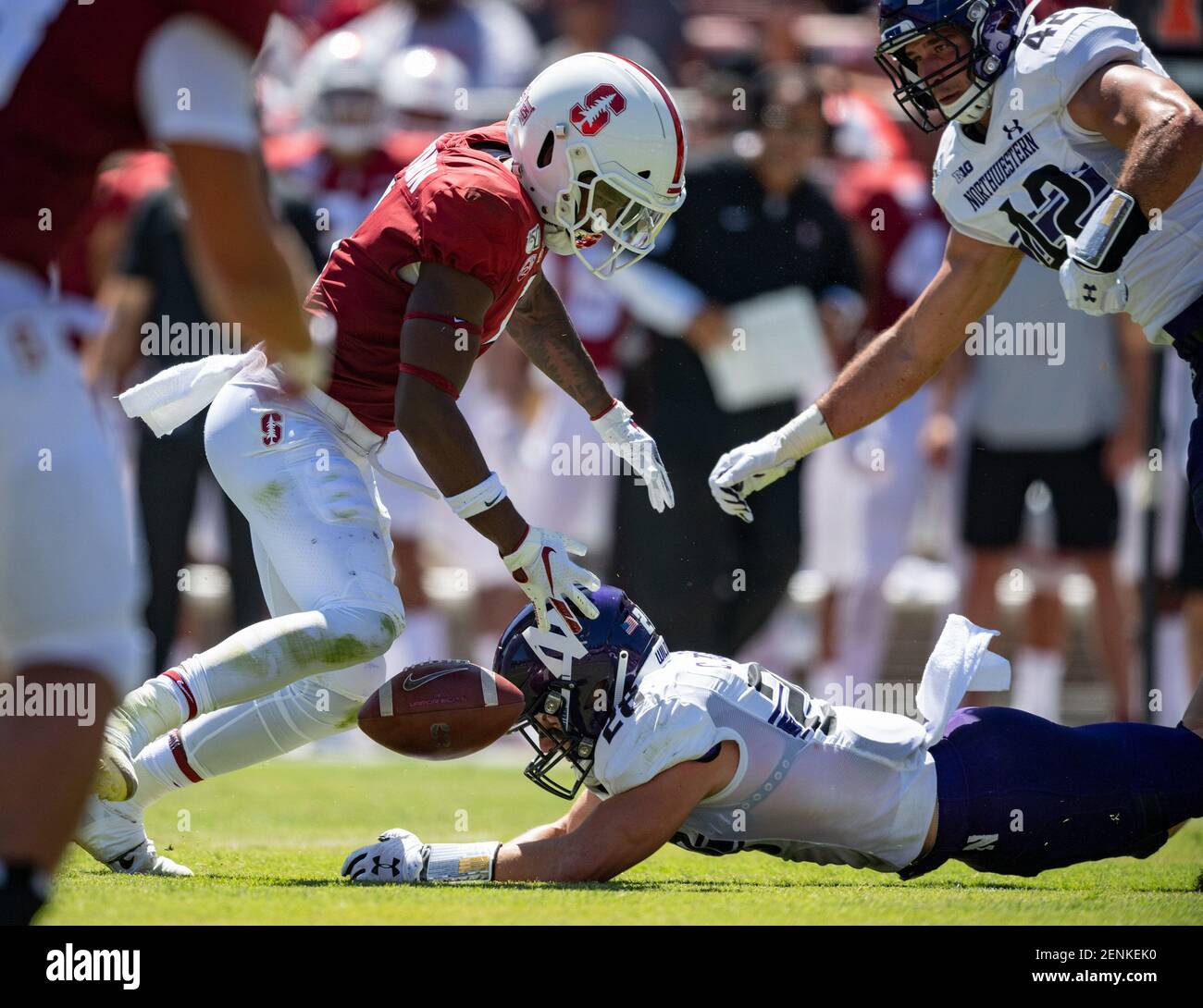 August 31, 2019: Stanford Cardinal wide receiver Connor Wedington (5 ...