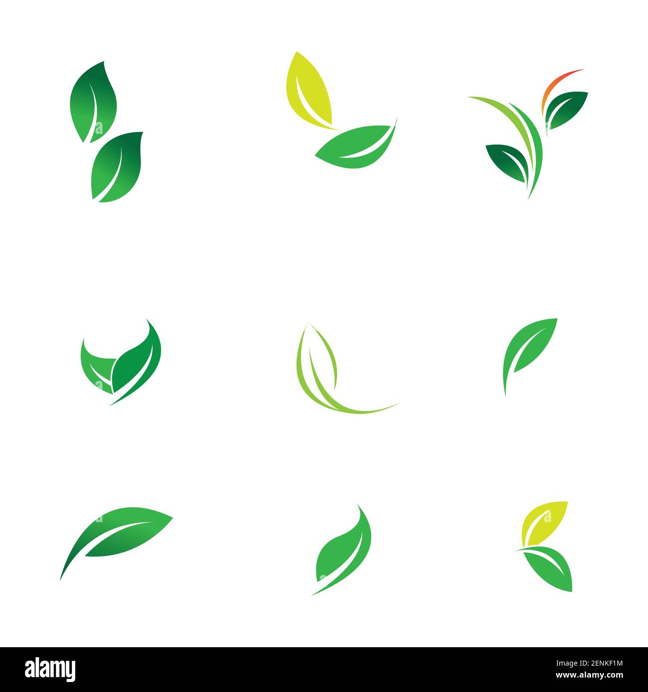 green leaf logo set vector illustration design template Stock Vector ...