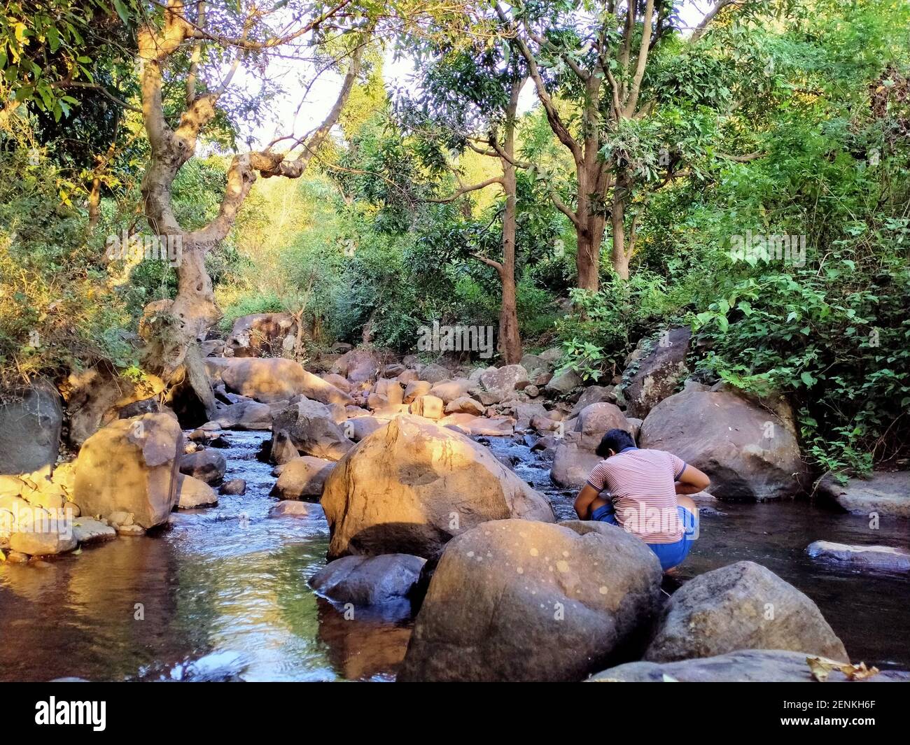 Indian handsome boy hi-res stock photography and images - Alamy