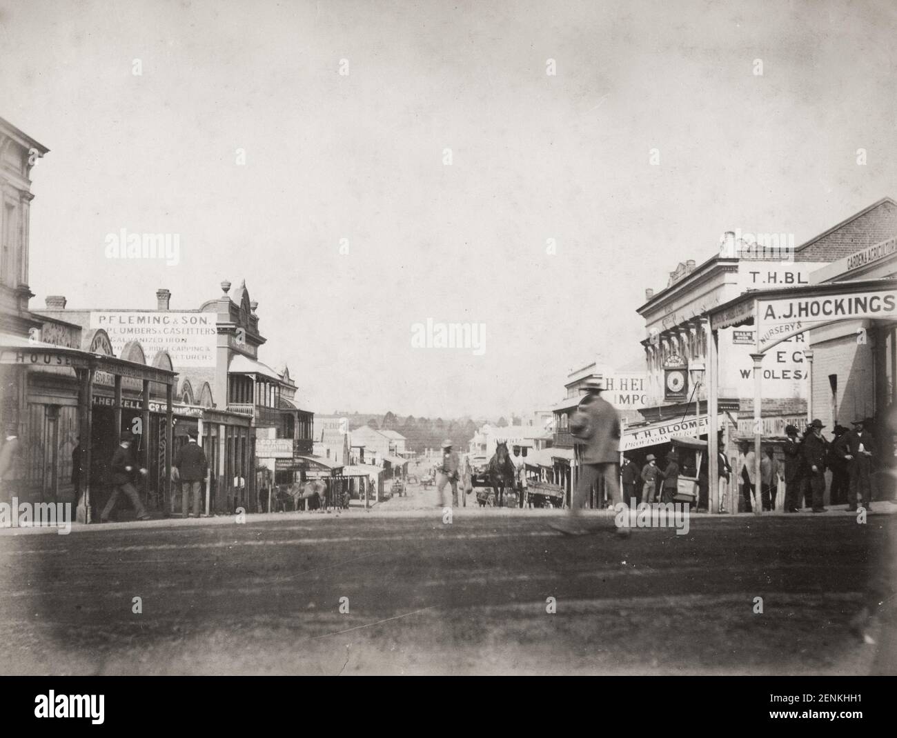 Vintage 19th century photograph: Albert Street, Brisbane, Australia ...