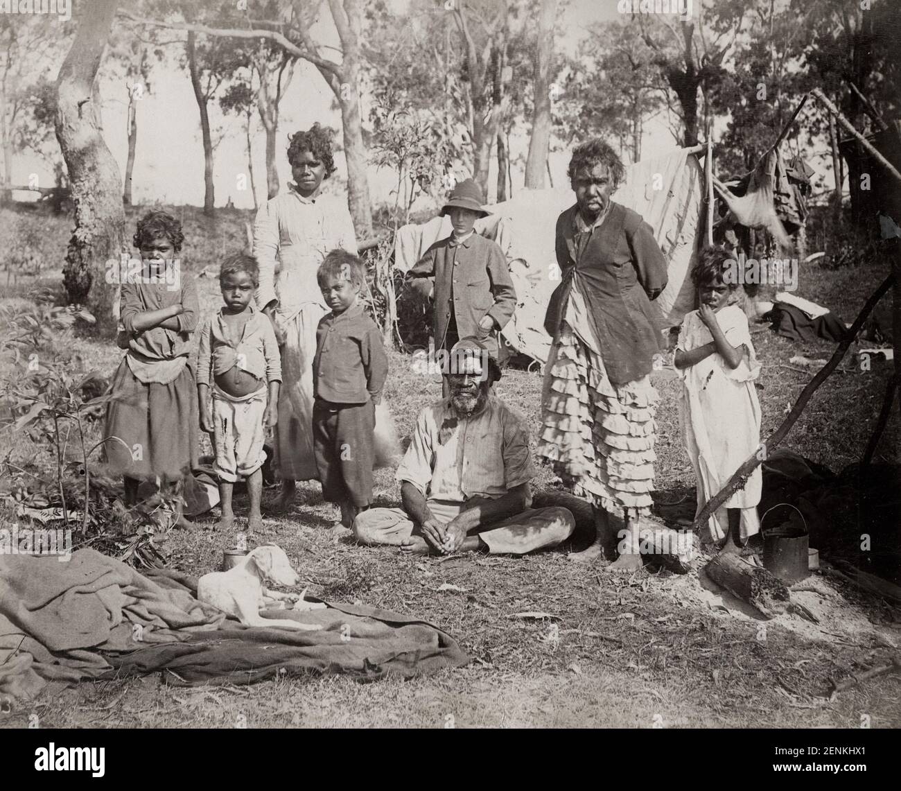 Vintage 19th century photograph: Aboriginal family group, Queensland ...