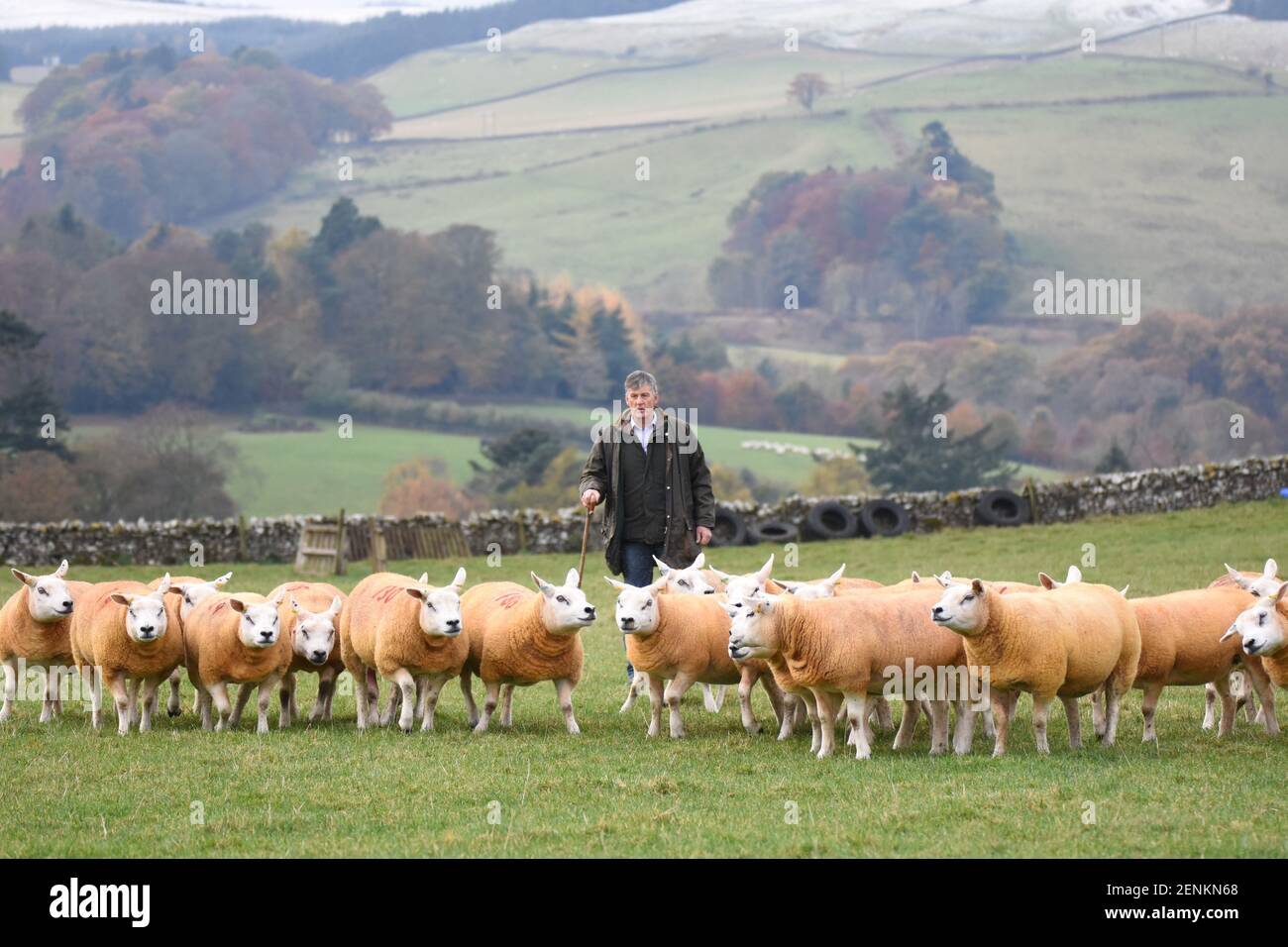 Upland farmer hi-res stock photography and images - Alamy
